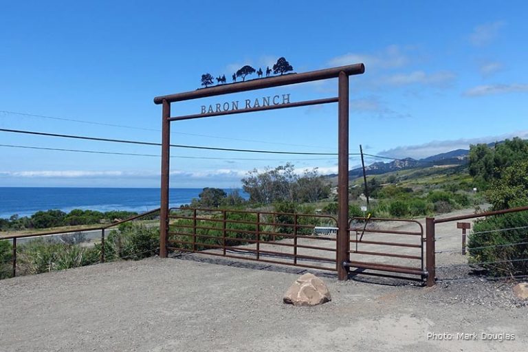 Baron Ranch Trails – Explore the Coast
